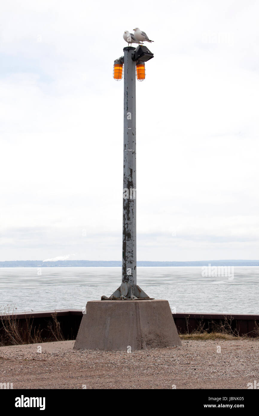 Two Sea birds roosting on a harbor light pole at Lake Superior ...