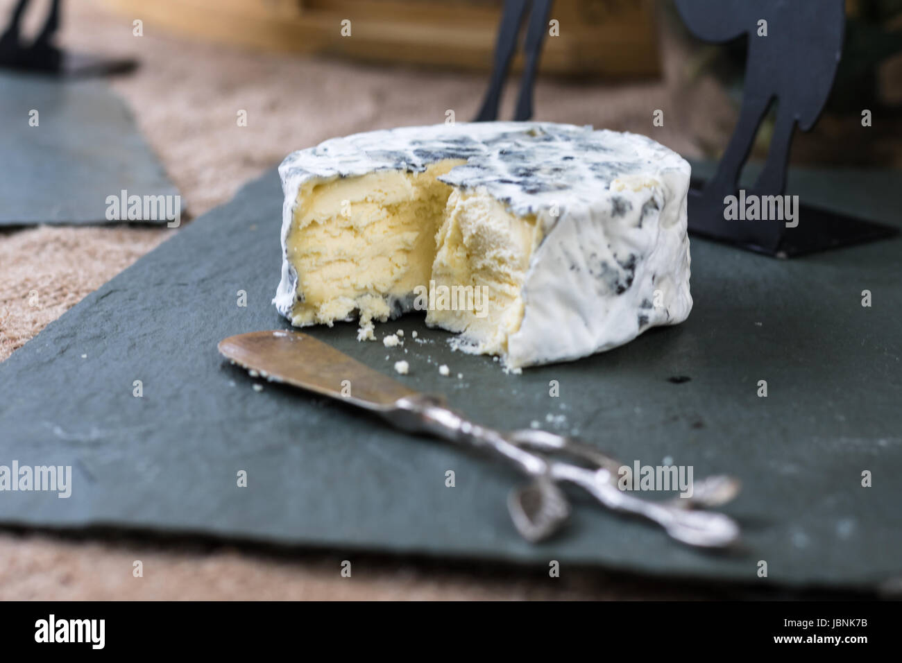 Horizontal photo of an aged gourmet cheese round on a grey stone ...