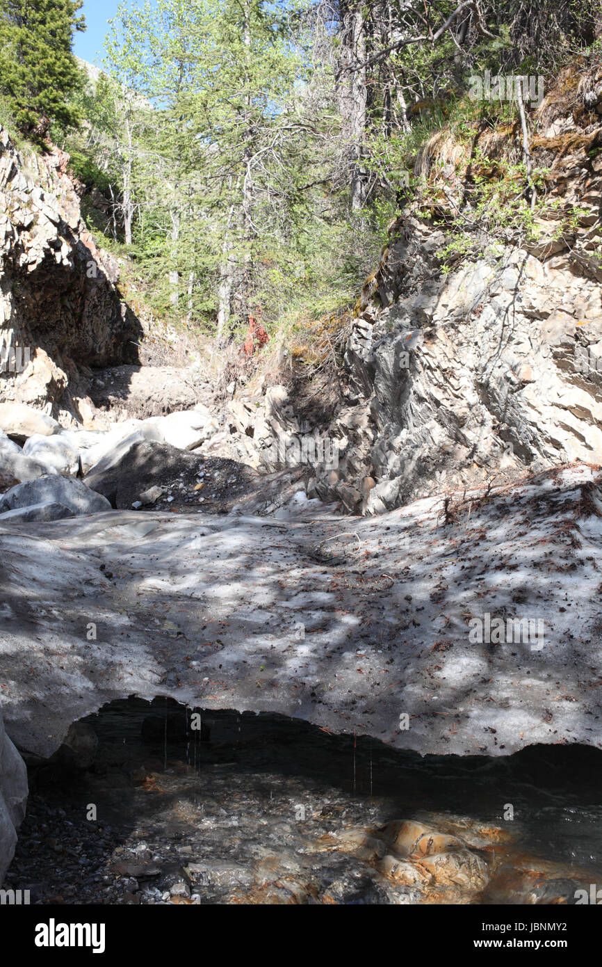 Cascading stream of melting ice and snow in Kananaskis Stock Photo - Alamy