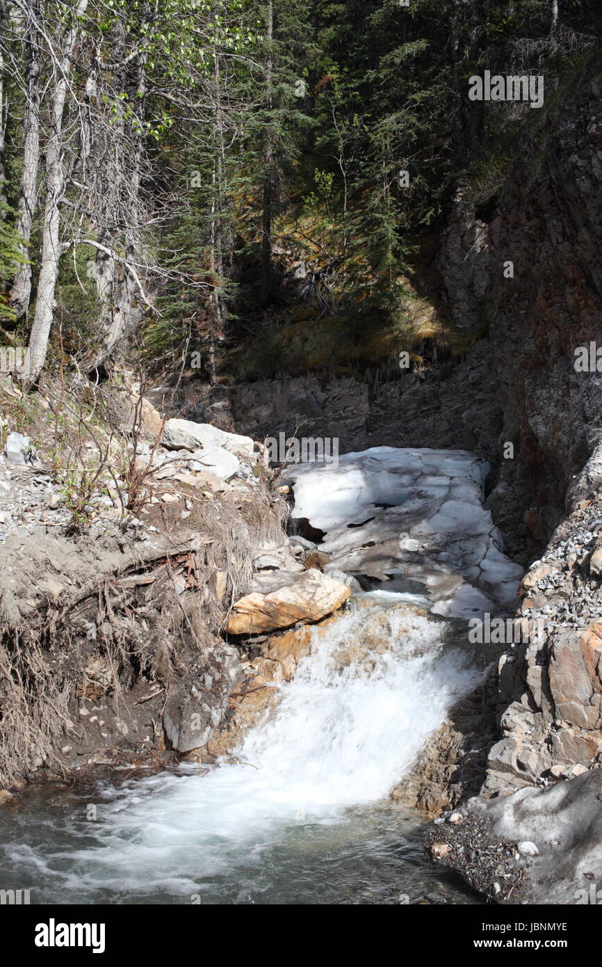 Cascading stream of melting ice and snow in Kananaskis Stock Photo - Alamy