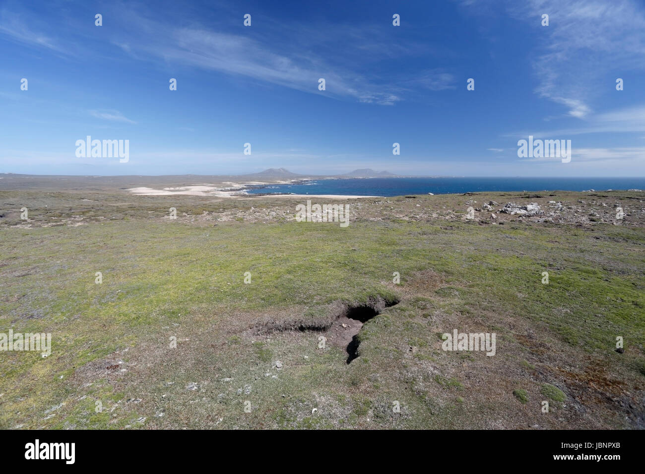 Pebble island falklands war hi-res stock photography and images - Alamy