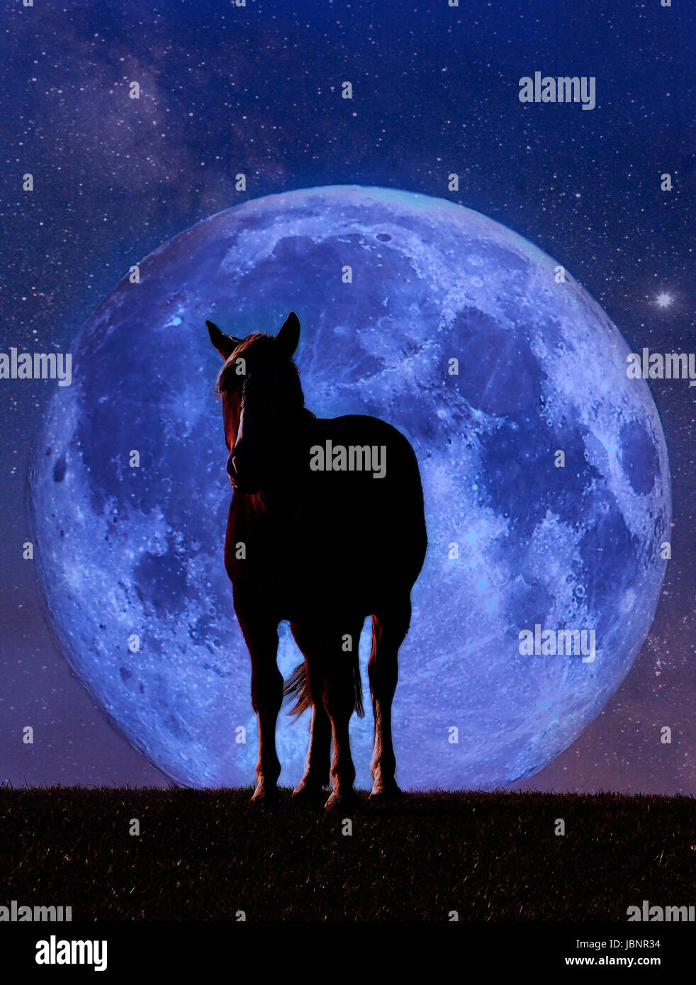 Horse and full moon Stock Photo - Alamy