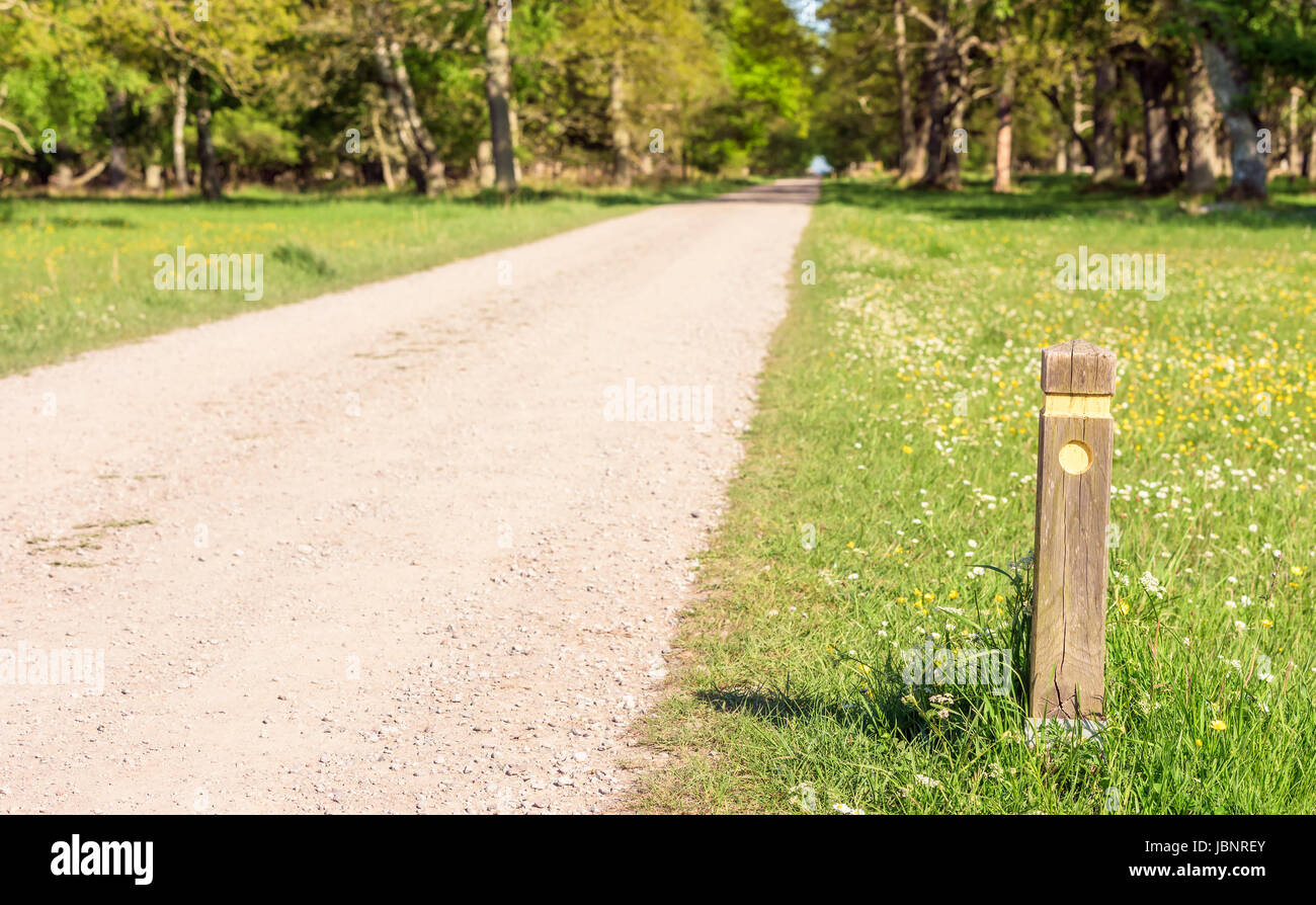Wooden hiking trail marker beside a gravel country road leading up to a ...