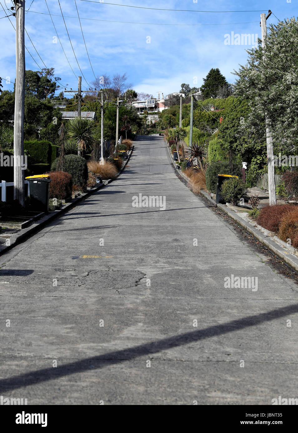A general view of the steepest residential road in the world, Baldwin ...