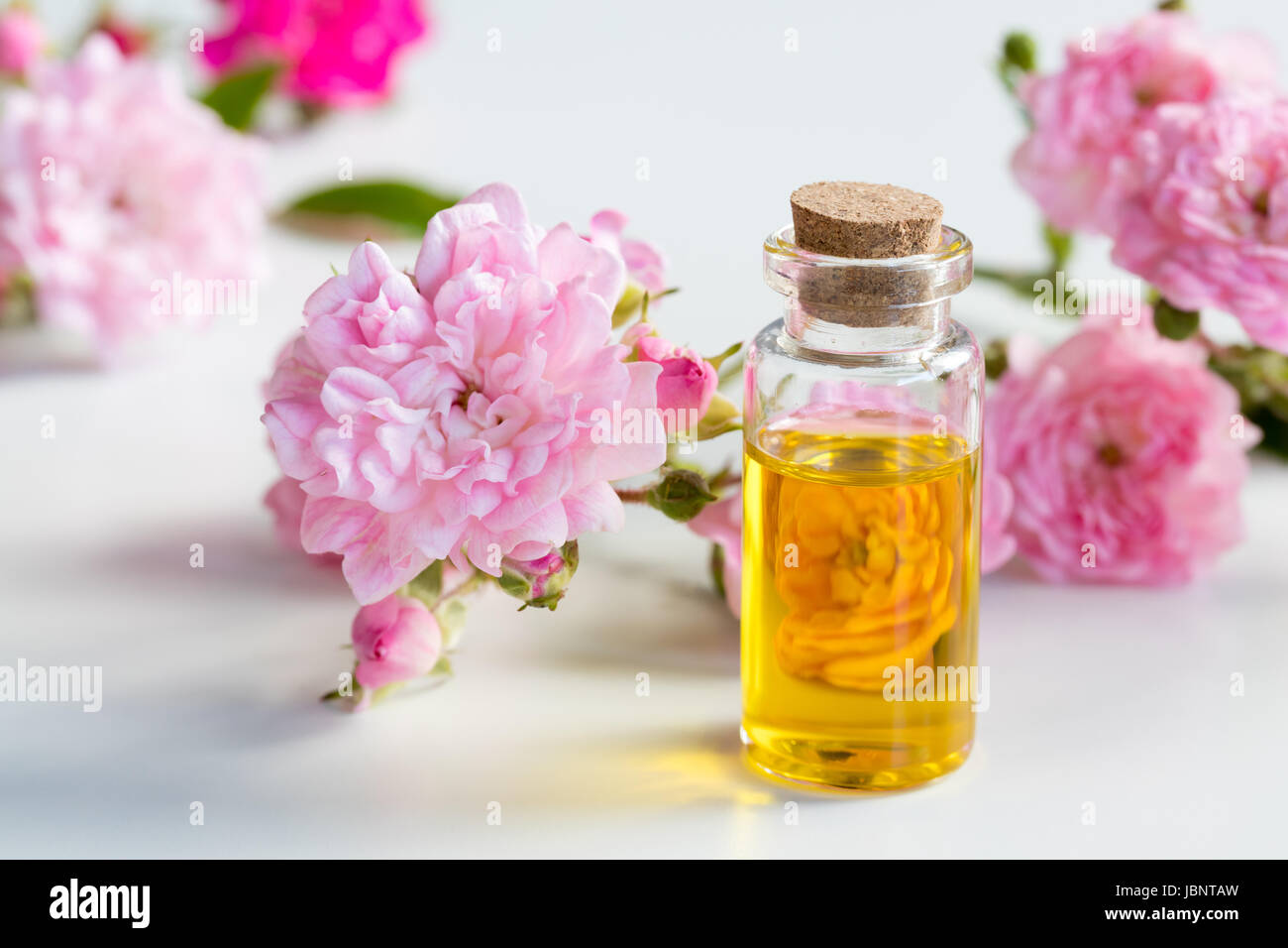 A bottle of rose essential oil with small rose blossoms on a white ...