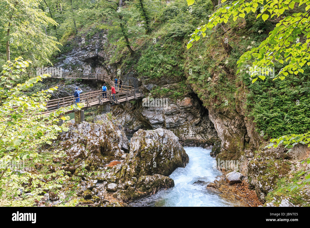 Bled, Slovenia - June 3, 2017: Tourists walking inside the Vintgar ...