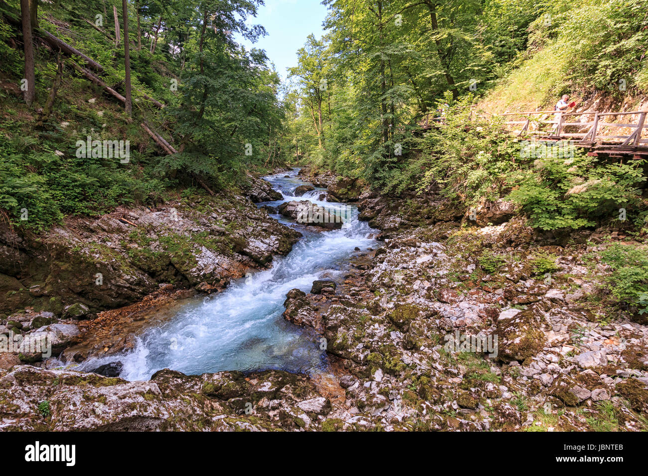 Bled, Slovenia - June 3, 2017: Tourists walking inside the Vintgar ...
