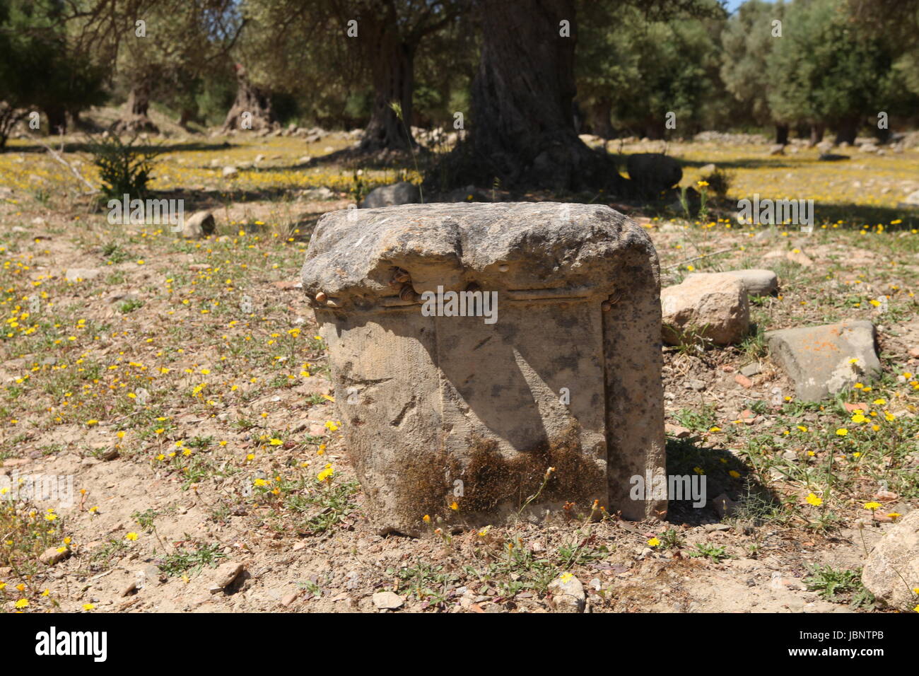 Pillars and columns at excavation area in in Mitropoli in Crete Stock ...
