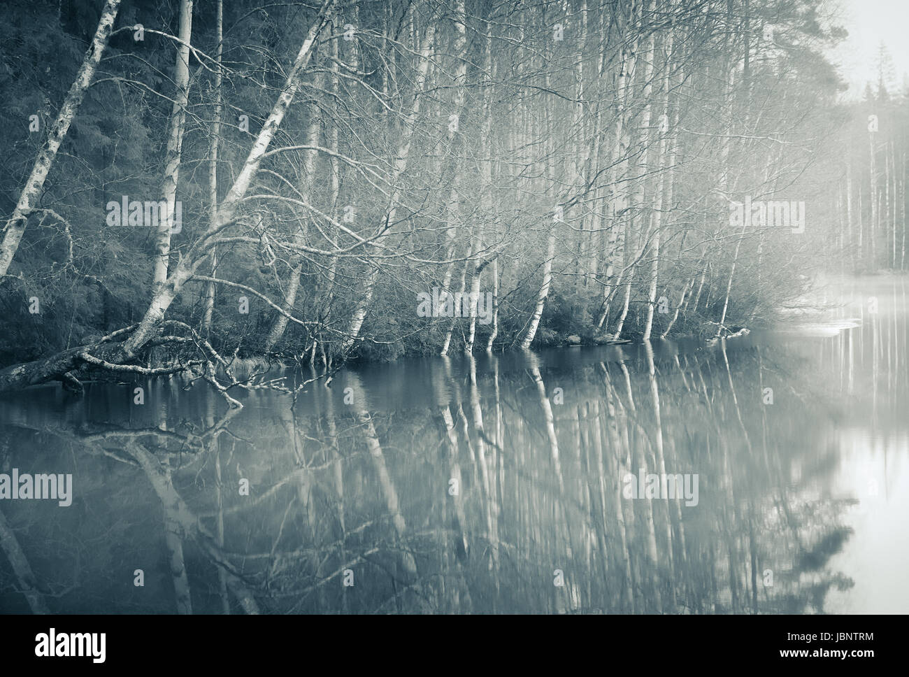 Foggy landscape with gloomy mood and lake at toned photo Stock Photo ...