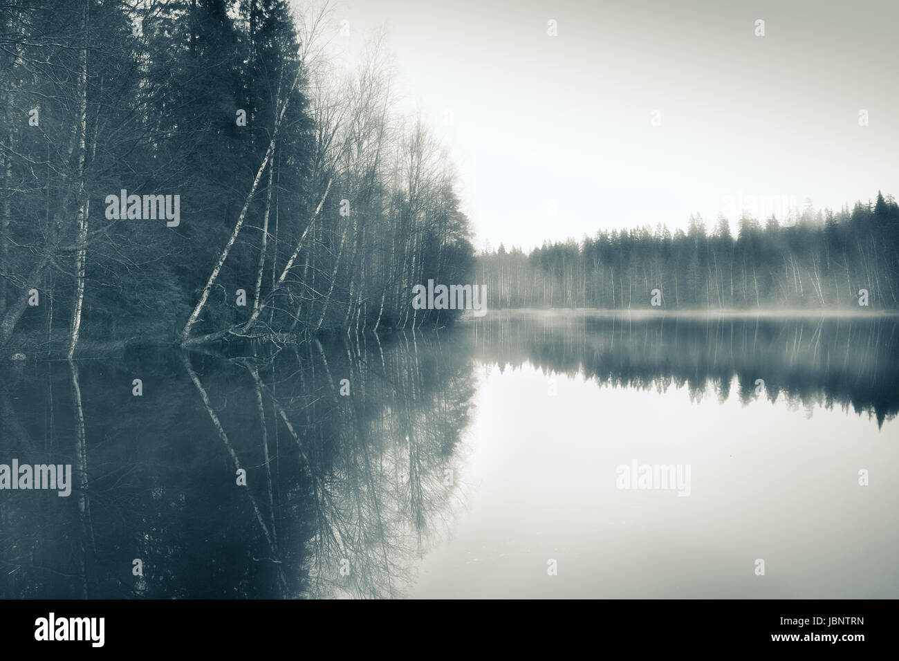 Foggy landscape with gloomy mood and lake at toned photo Stock Photo ...