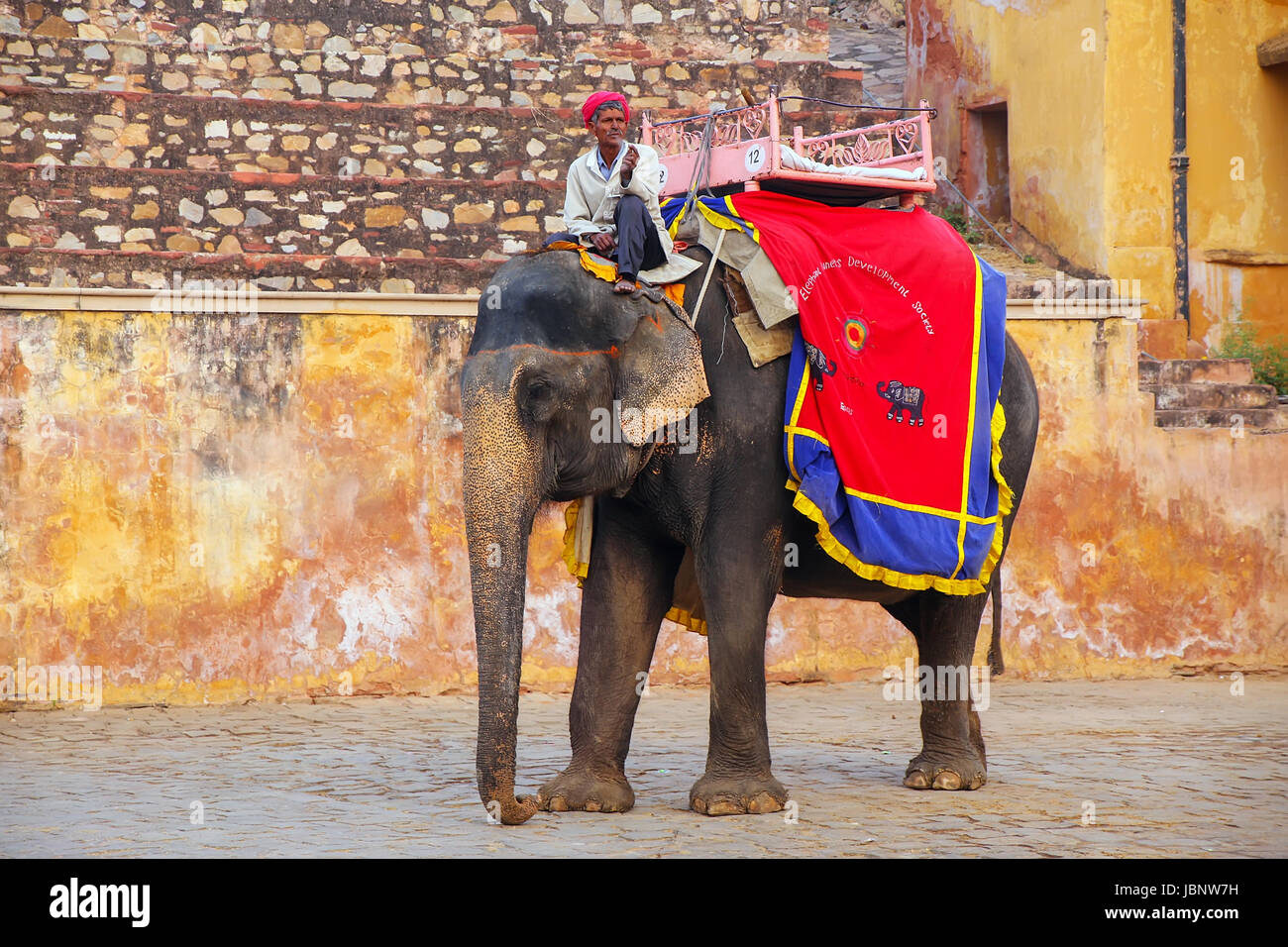 Decorated elephant walking on the cobblestone street near Amber Fort ...