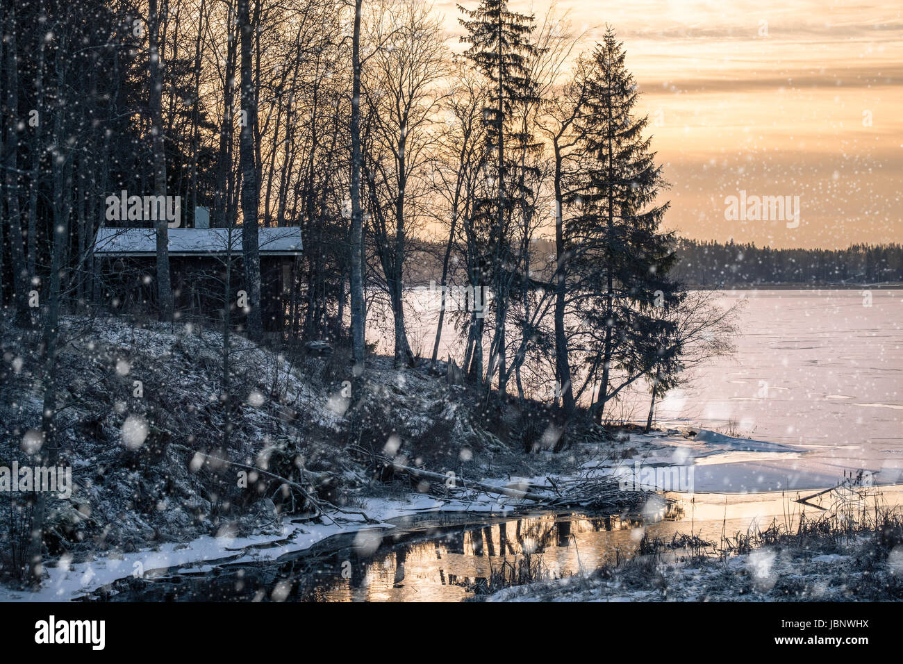 Winter landscape with snowing at morning in Finland Stock Photo - Alamy