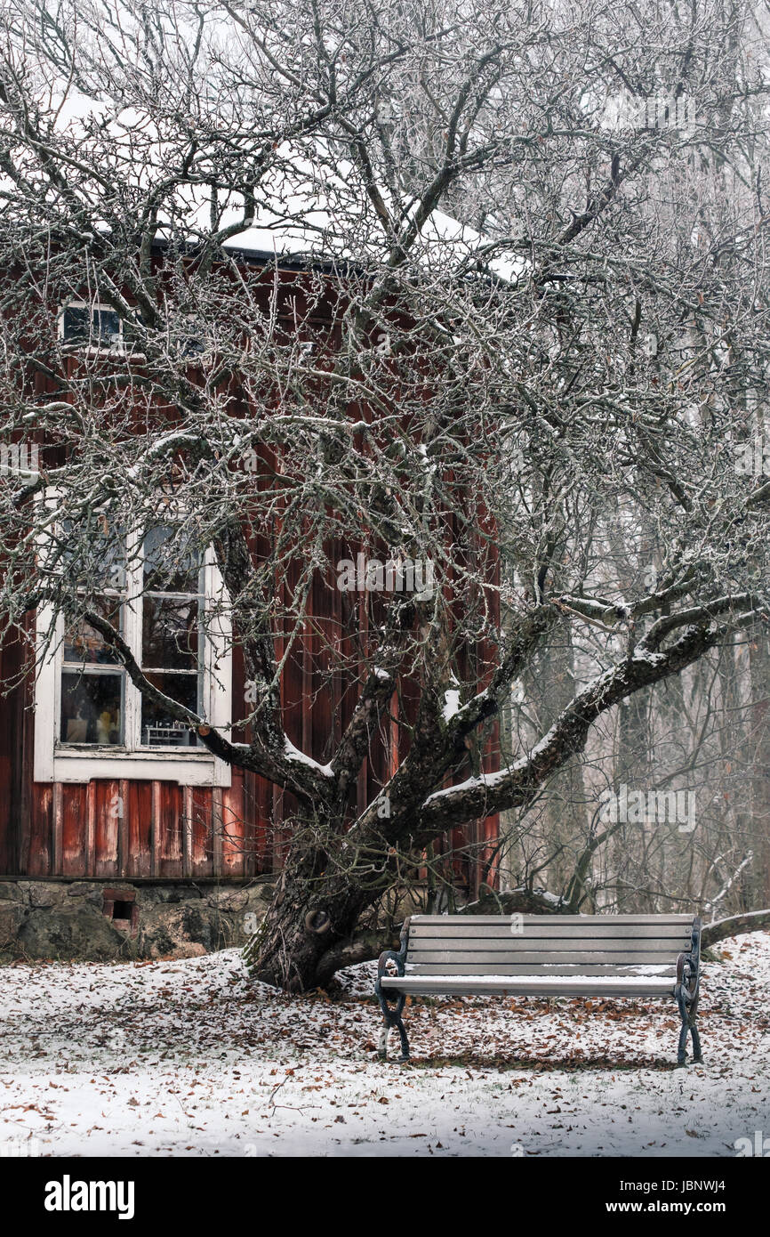 Abandoned cottage with tree and empty bench Stock Photo - Alamy