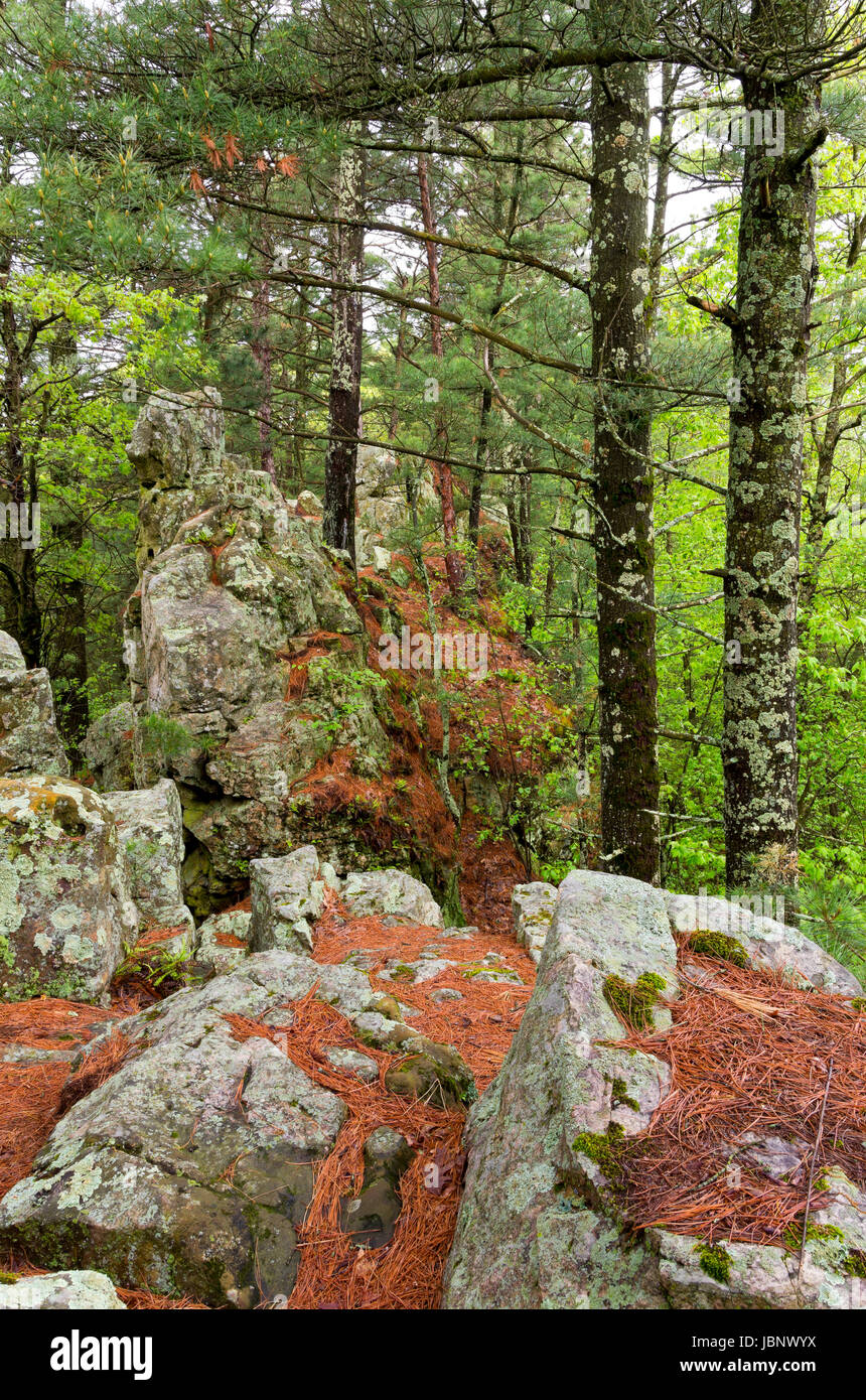 rock formations along butte of castle mound pine forest in jackson ...