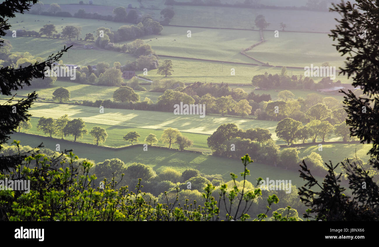 Crops in the shropshire countryside hi-res stock photography and images ...