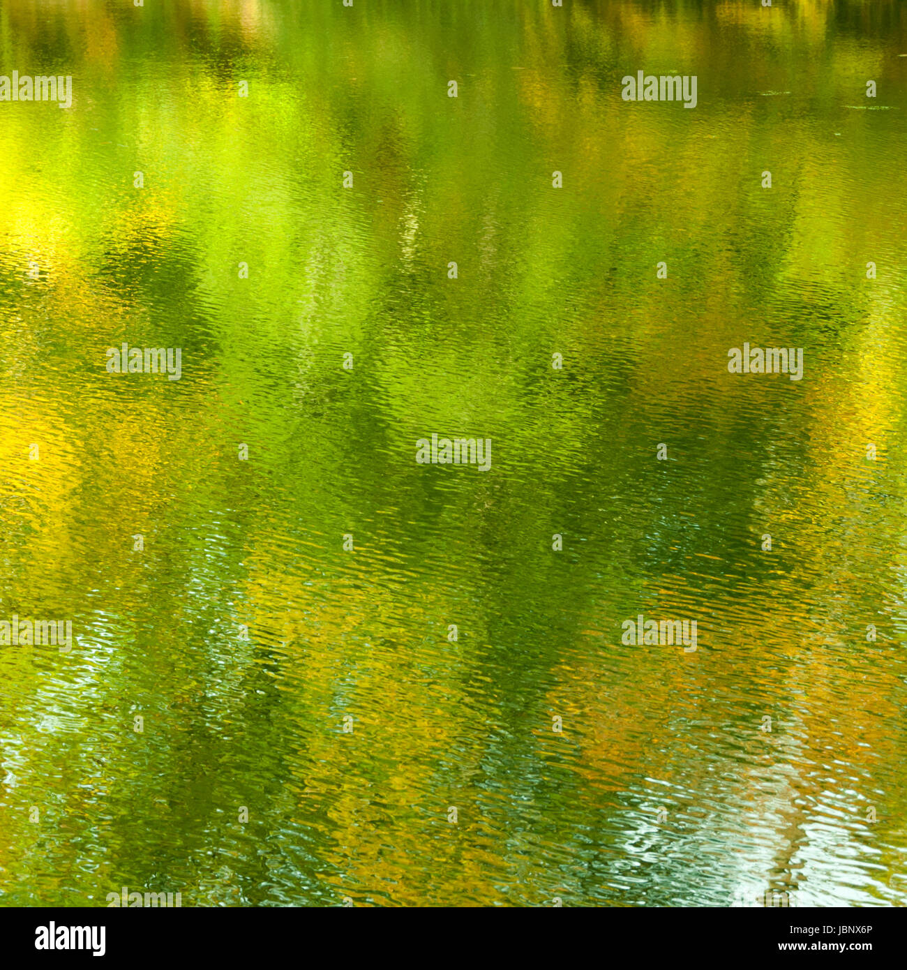 Abstract color from leaf reflections Stock Photo - Alamy