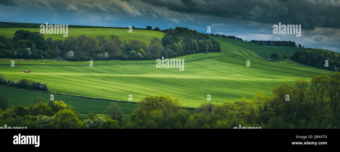 Panoramic View of Green Farming Fields in Shropshire, UK Stock Photo ...