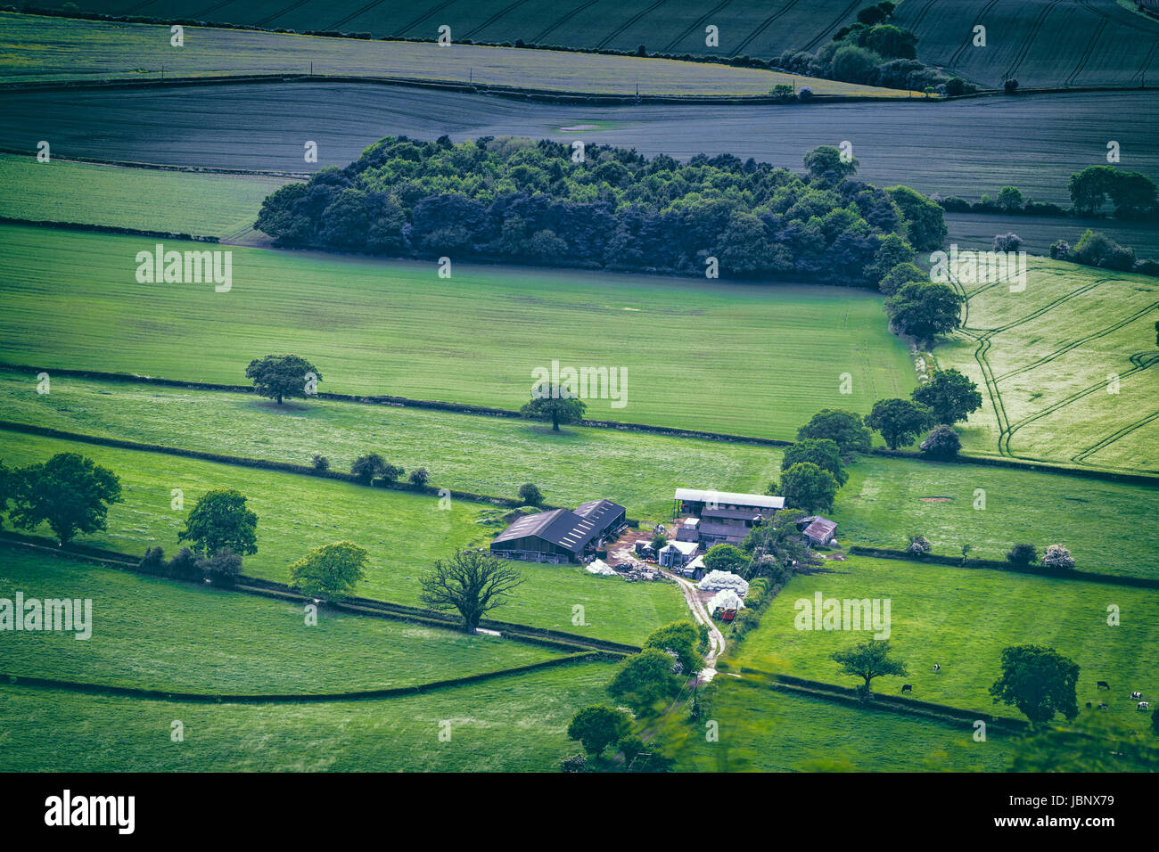 British Farm Among Fresh Green Fields, Aerail View Stock Photo - Alamy
