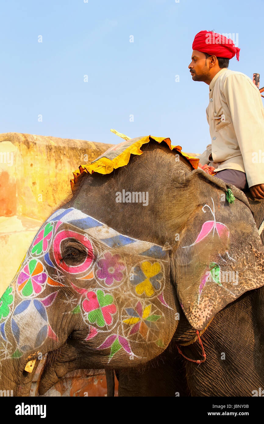 Indian elephant mahout hi-res stock photography and images - Alamy