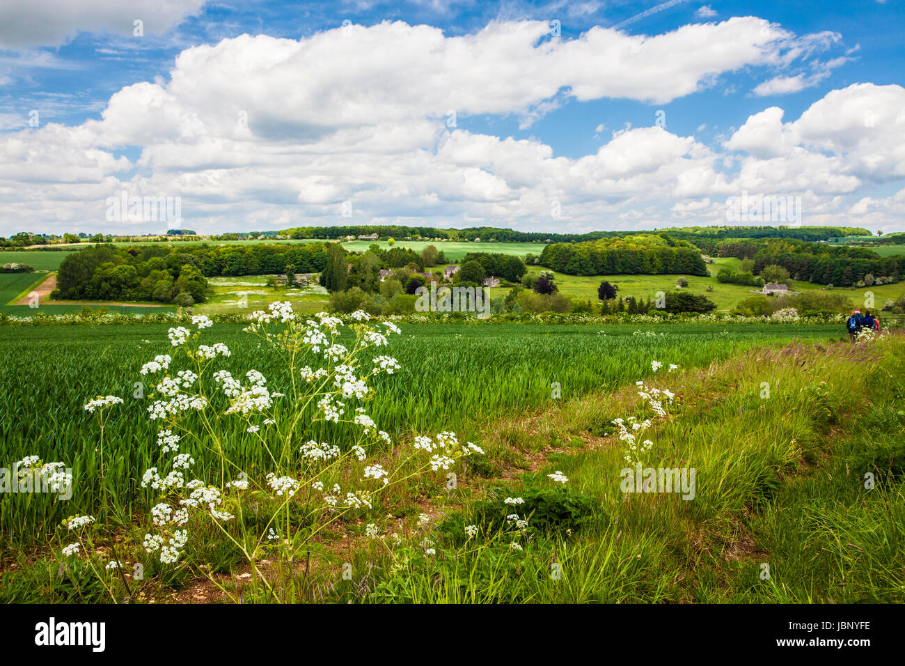 Group walkers in english countryside hi-res stock photography and ...