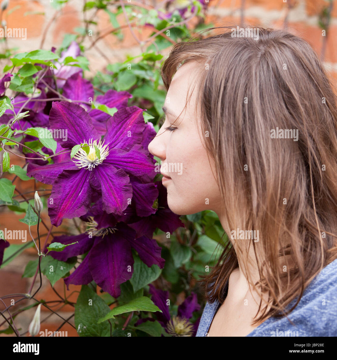 Kropi hi-res stock photography and images - Alamy