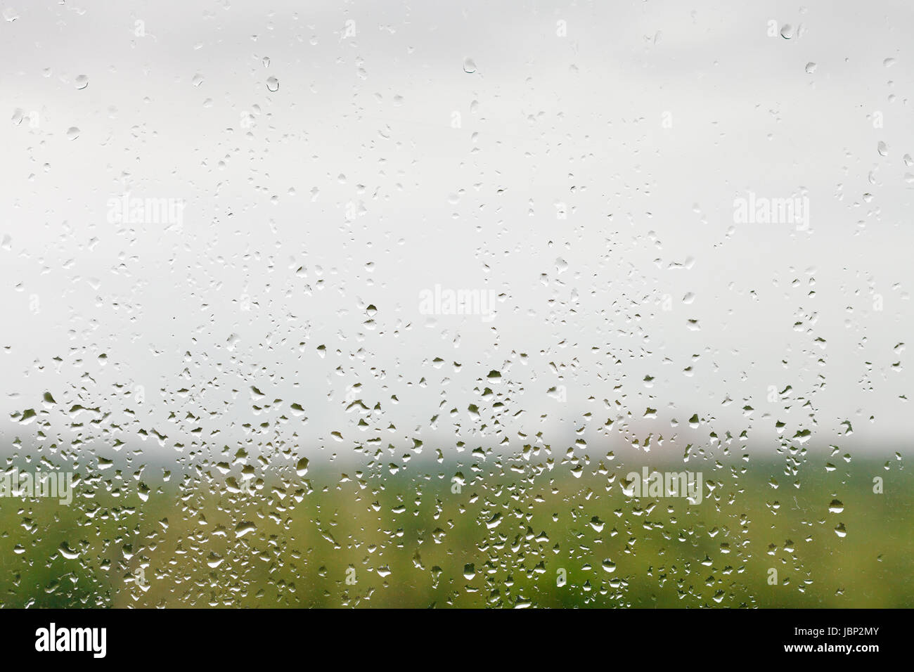 rain drops on window pane with green forest and overcast sky background ...