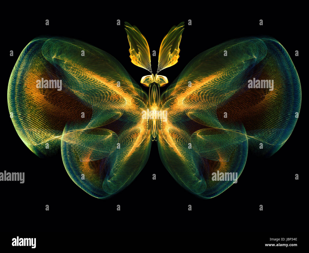 Never Were Butterflies series. Arrangement of isolated butterfly ...