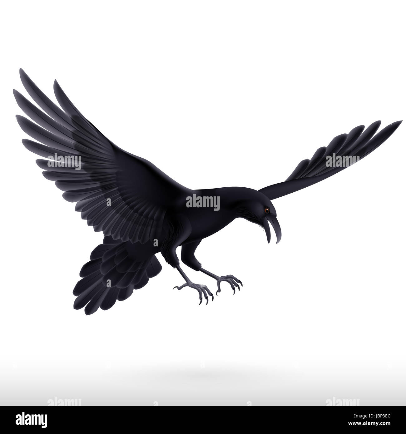 Illustration of aggressive black raven isolated on white background ...