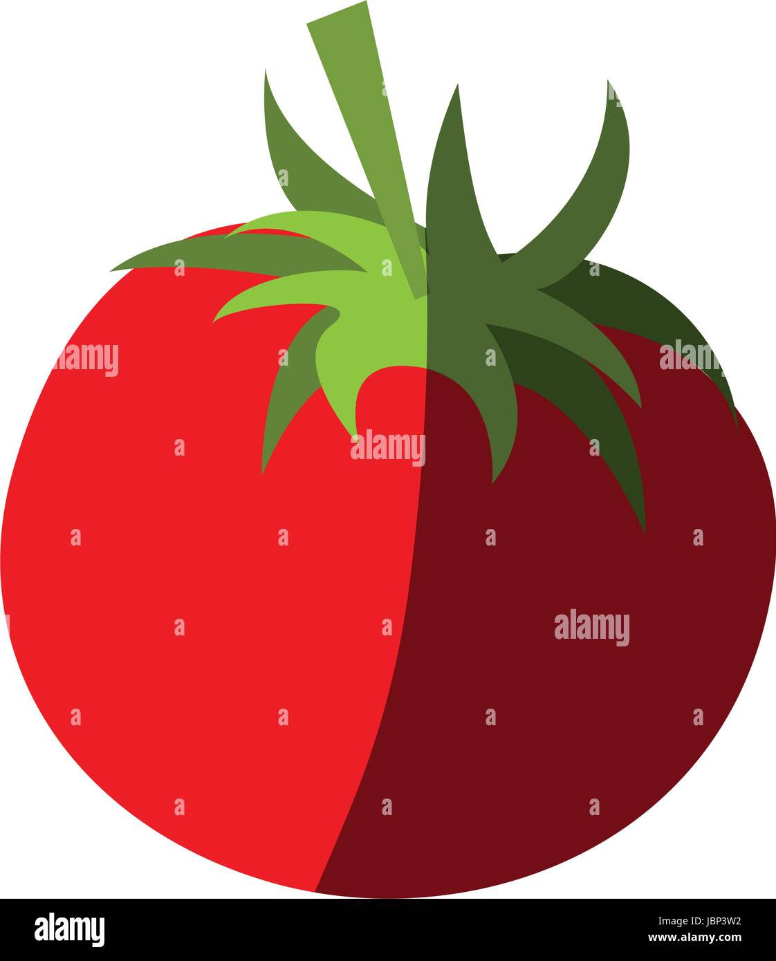 tomato food flat illustration shadow Stock Vector Image & Art - Alamy