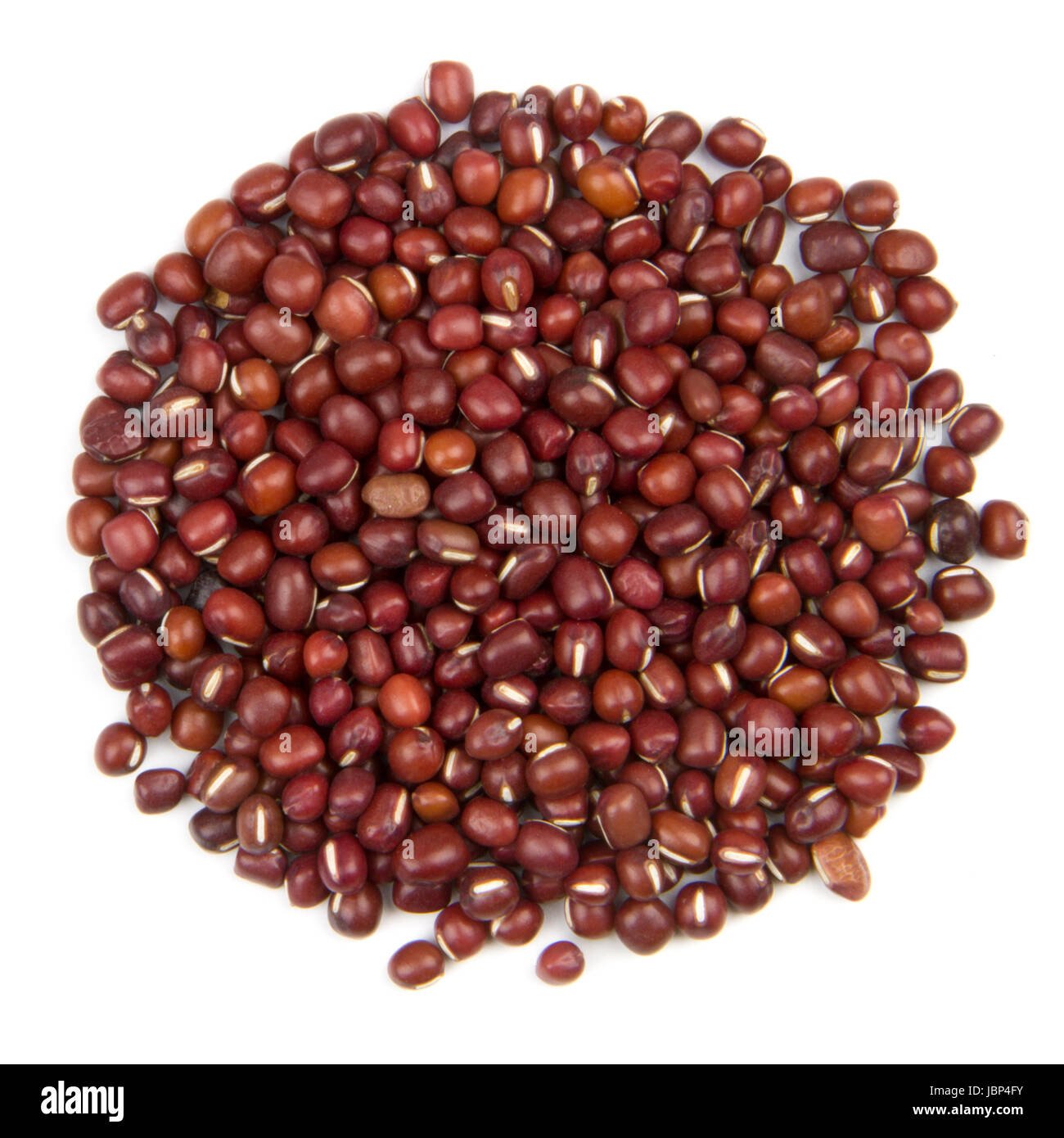 close up of red bean isolated on white background Stock Photo - Alamy