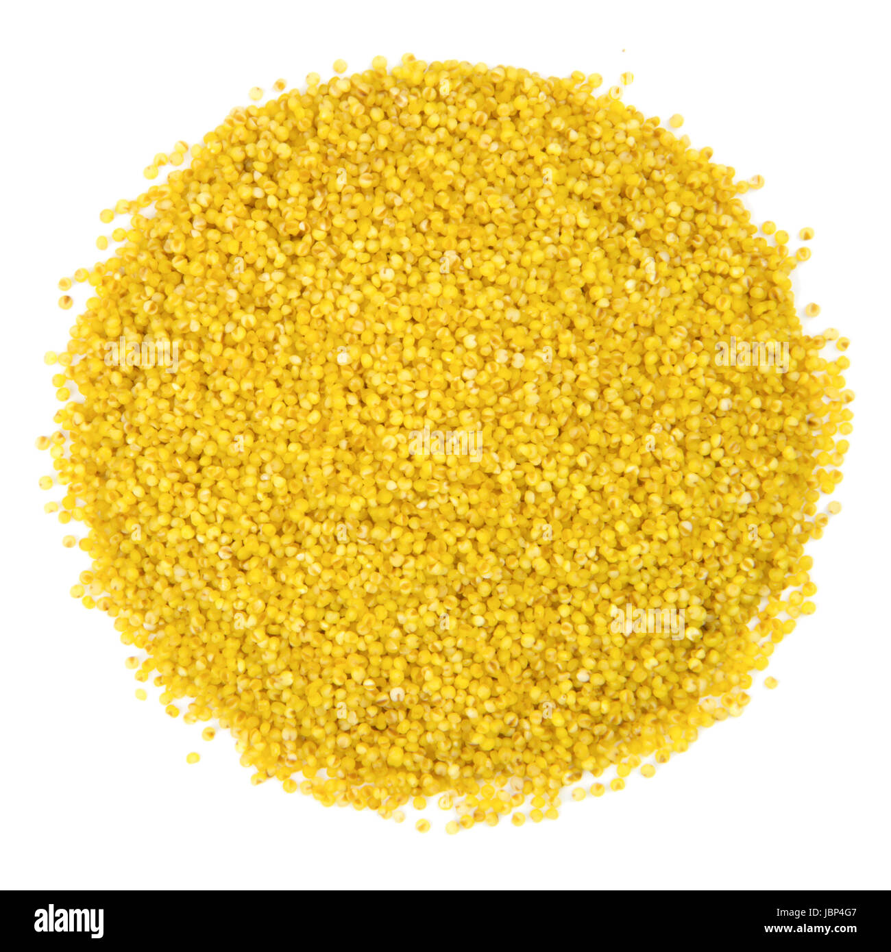 close up of millet isolated on white background Stock Photo - Alamy
