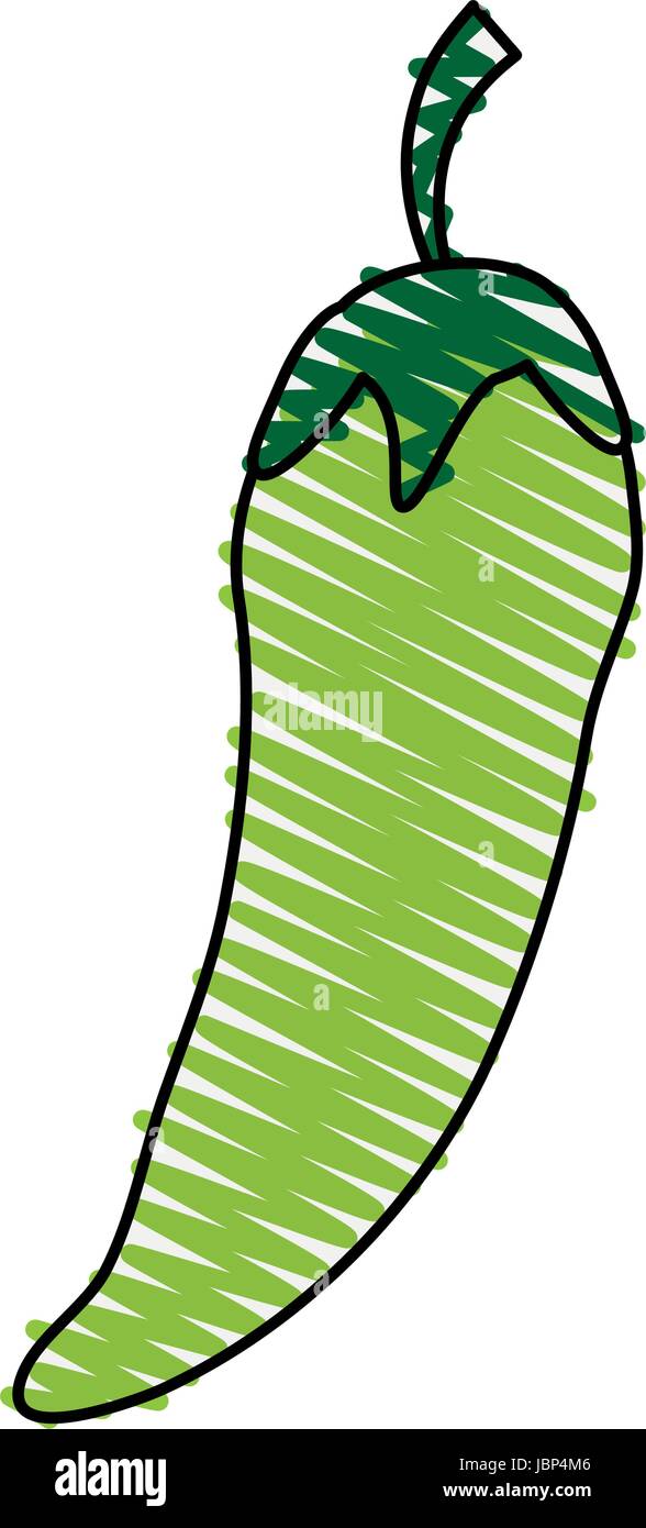 chili food doodle illustration Stock Vector Image & Art - Alamy