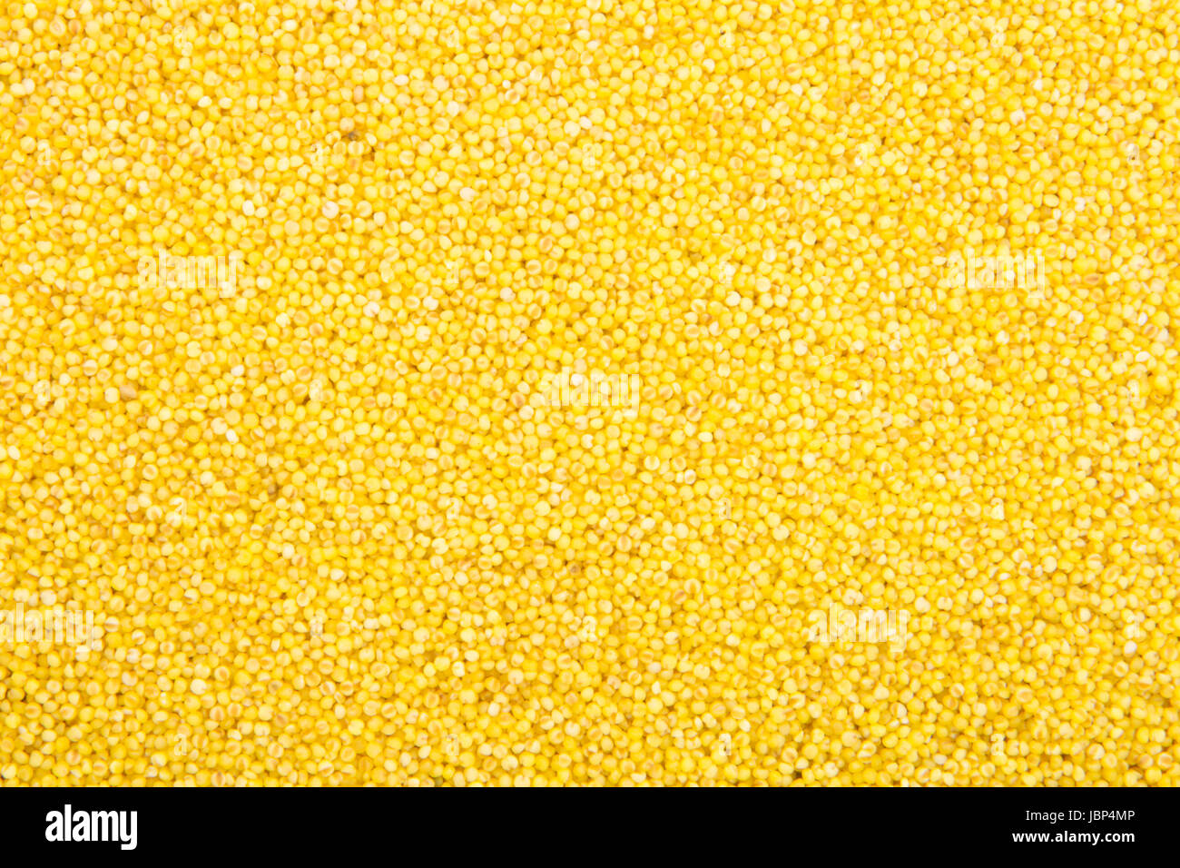 close up of many millet full of background Stock Photo - Alamy
