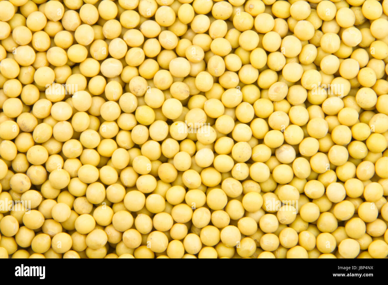 close up of many soybean full of background Stock Photo - Alamy