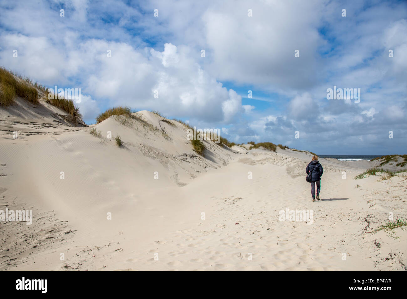 dunes at Terschelling, Netherlands Stock Photo - Alamy