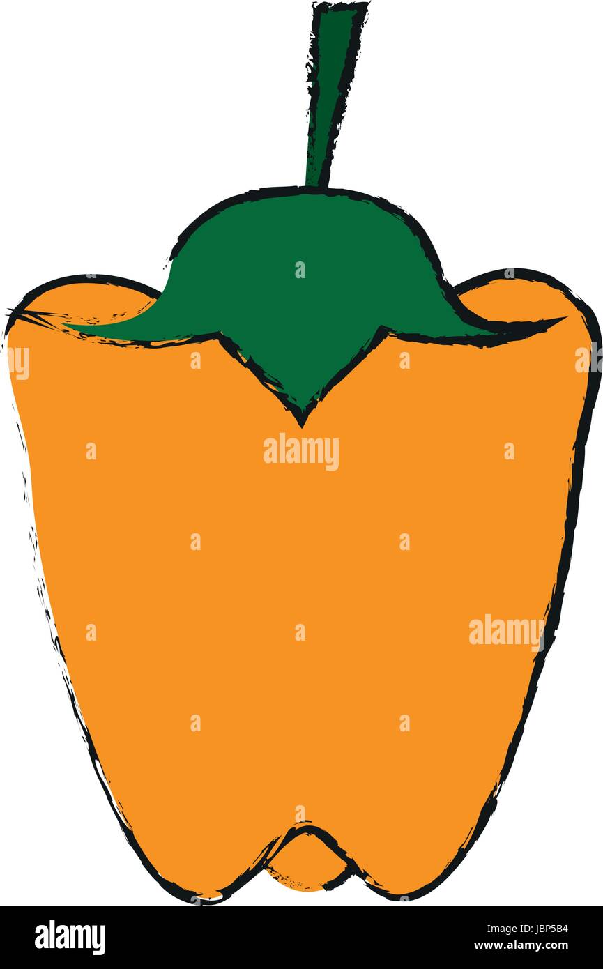 peppers food draw illustration Stock Vector Image & Art - Alamy