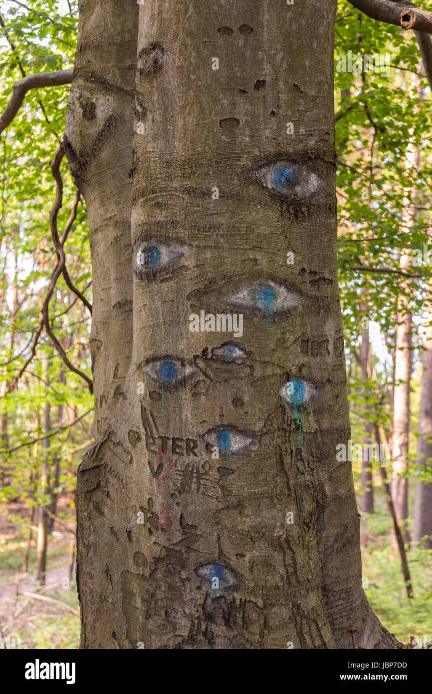 Eyes carved in tree trunk in lush green forest Stock Photo - Alamy