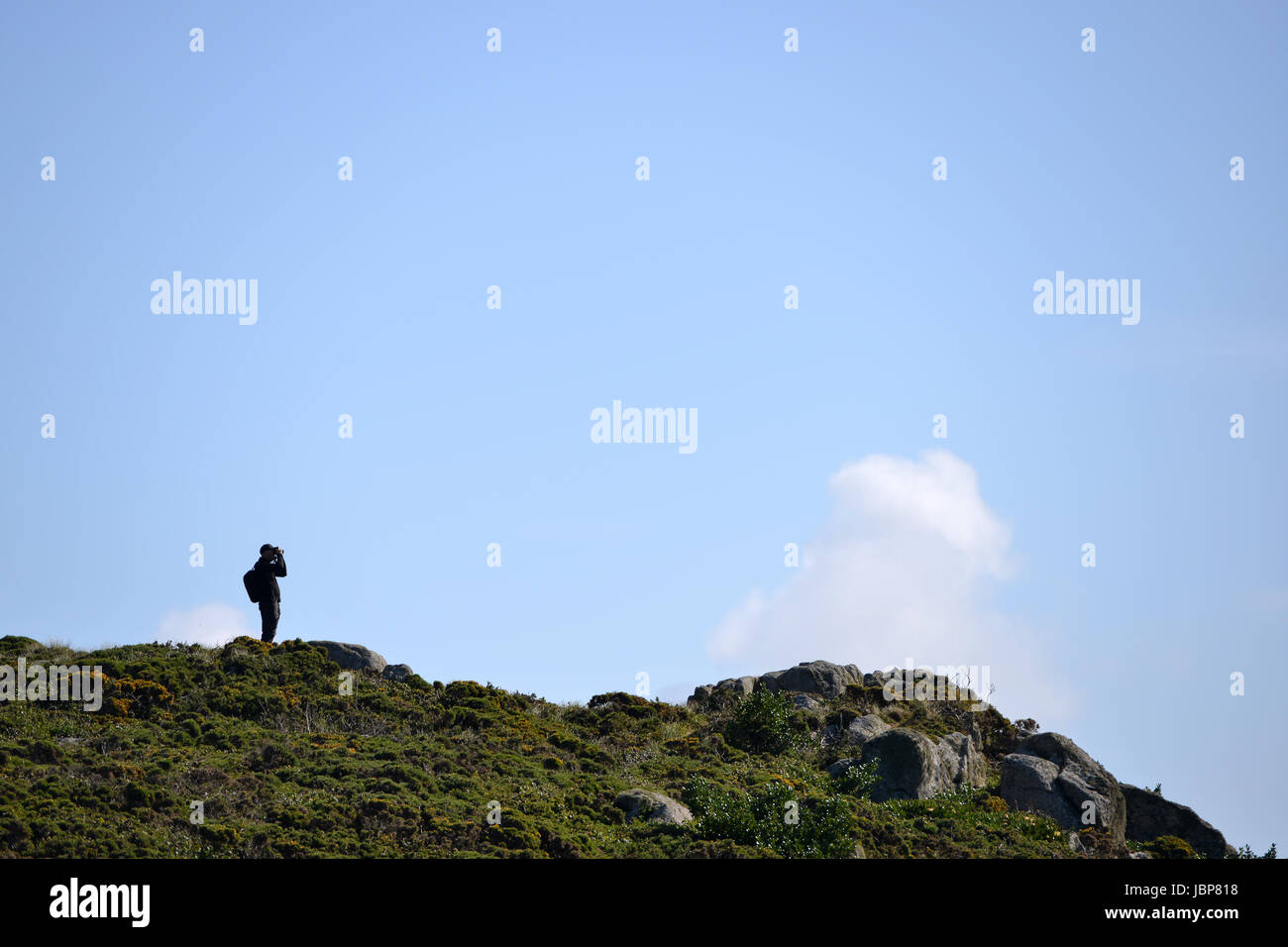 Bird twitcher hi-res stock photography and images - Alamy