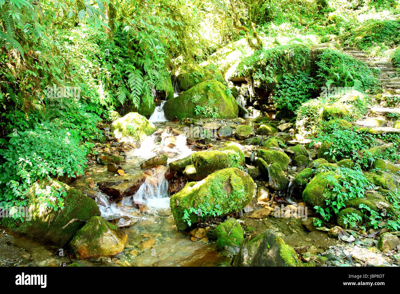 Water stream movement on the stone background, Nepal Himalayan forest ...