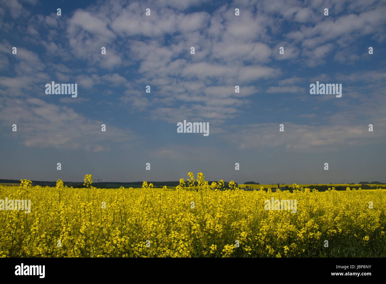 snow white firmament Stock Photo - Alamy