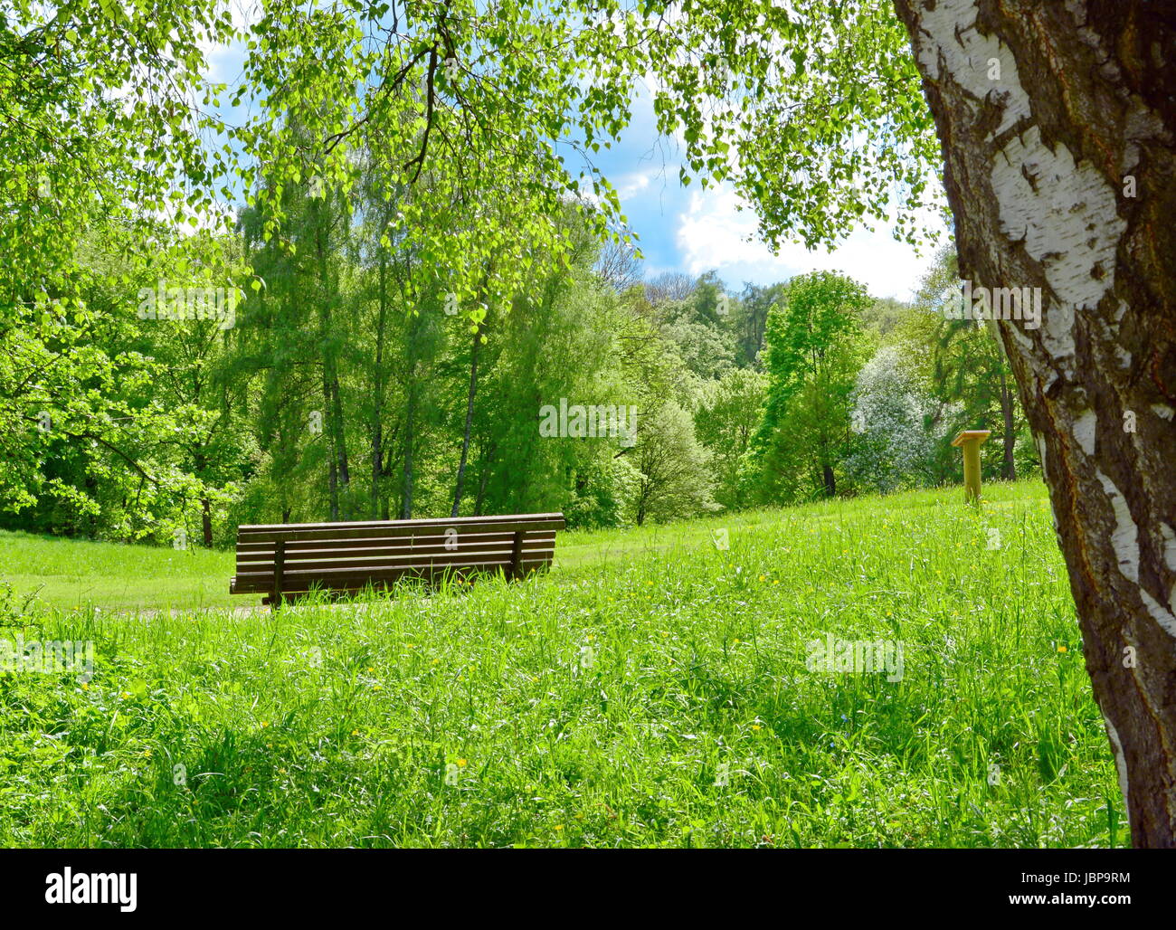 park bench in nature Stock Photo - Alamy