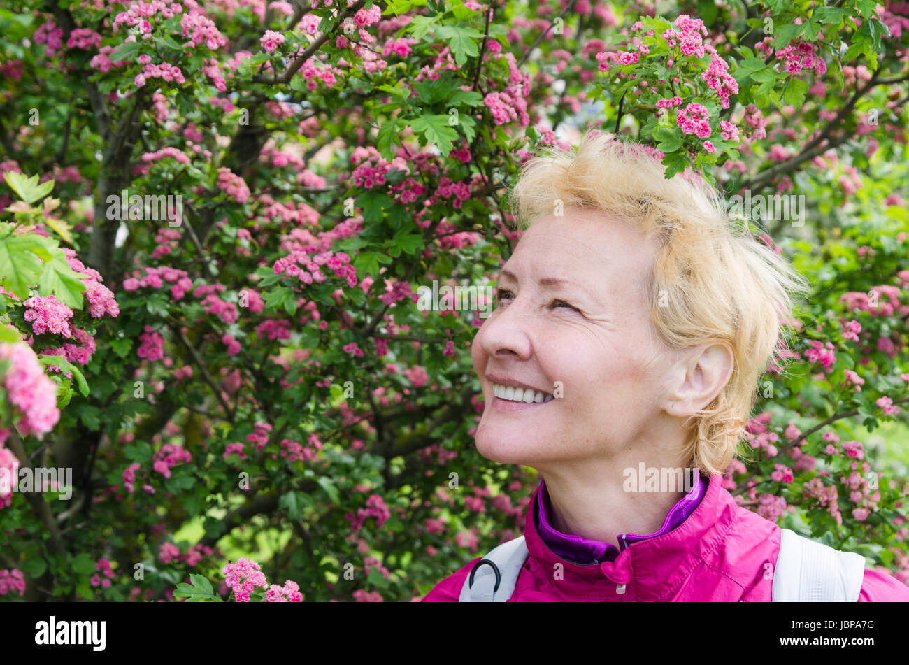 Portrait of a woman in a blossoming hawthorn Stock Photo - Alamy