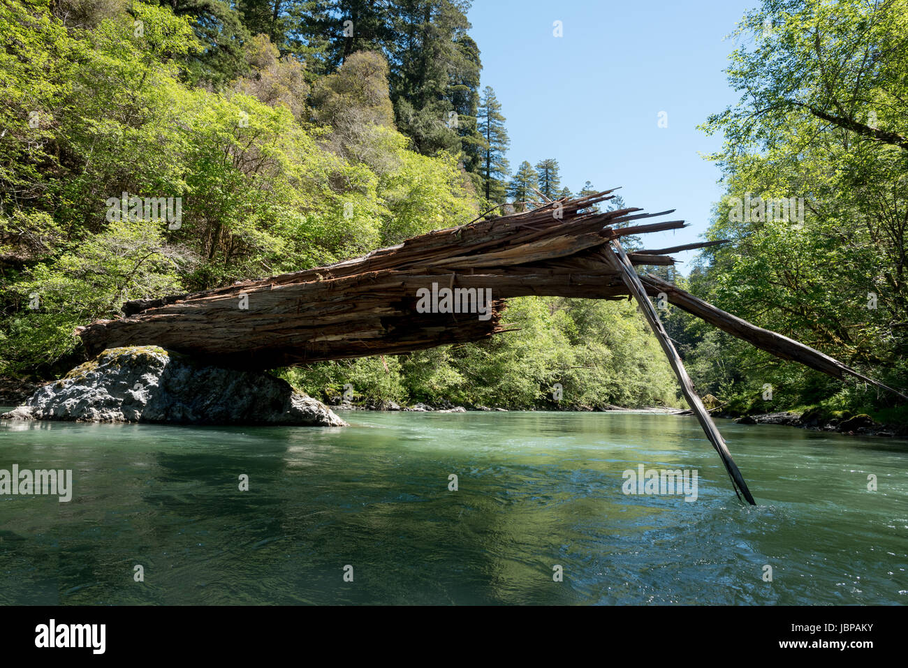 Redwood log hi-res stock photography and images - Alamy