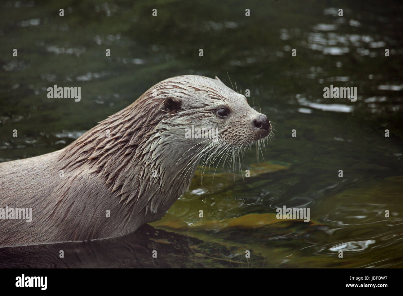 Streamlined streamlining hi-res stock photography and images - Alamy