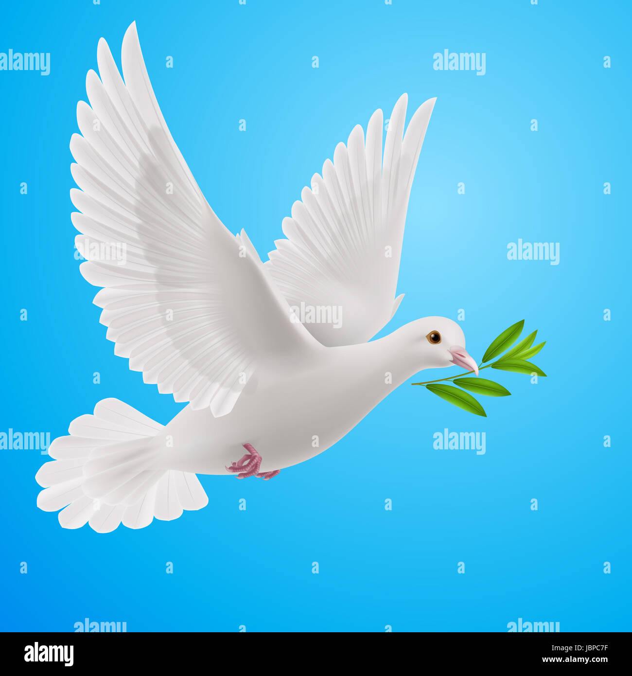 Dove of peace flying with a green twig after flood on a blue background ...