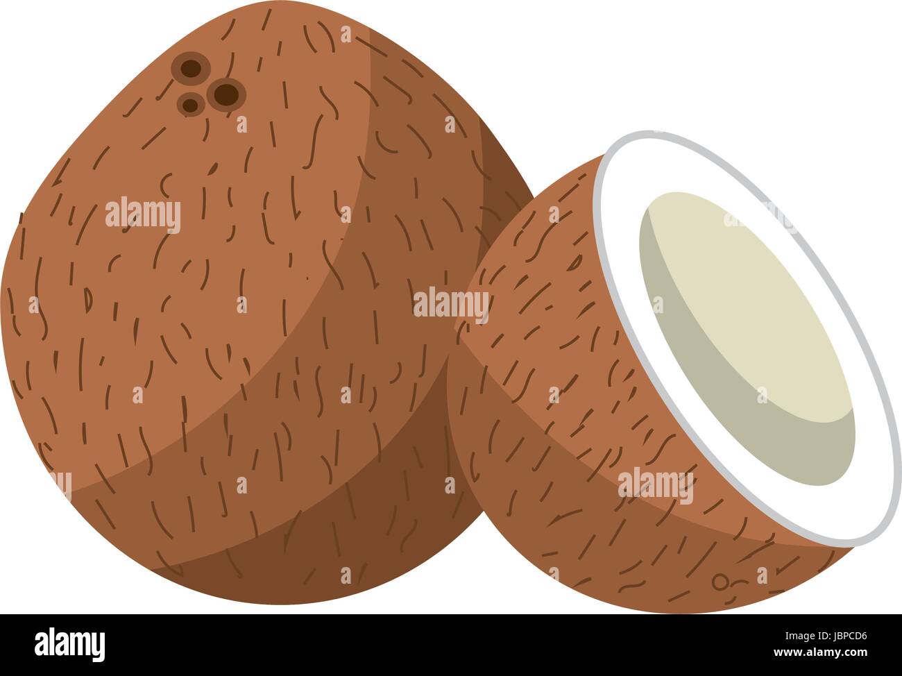 coconot fruit with one slice Stock Vector Image & Art - Alamy