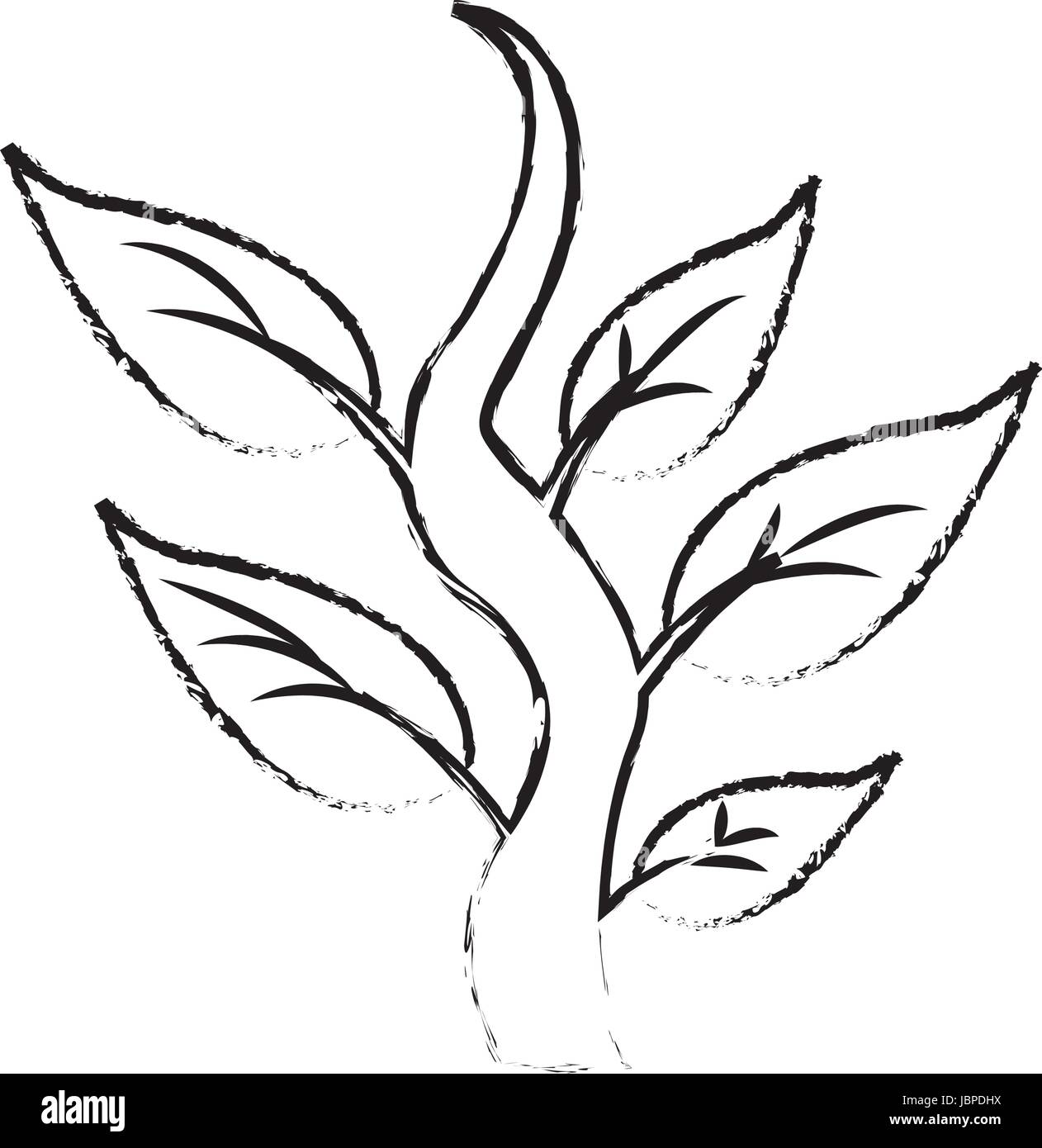 Natural plant regeneration Stock Vector Images - Alamy