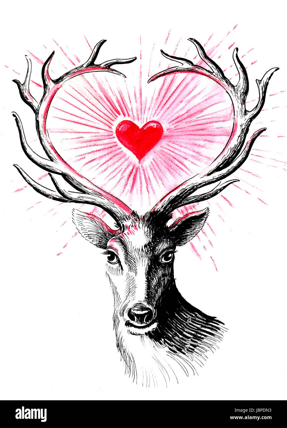 Deer Making A Heart