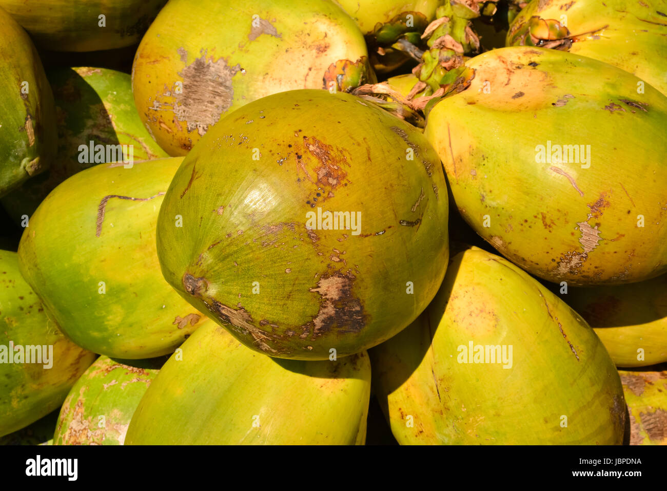 Group of coconuts Stock Photo - Alamy