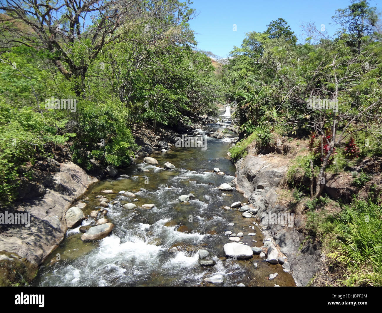 summer in green paradise country costa rica Stock Photo - Alamy